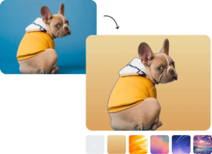 Change Background Color of Images Online for Free